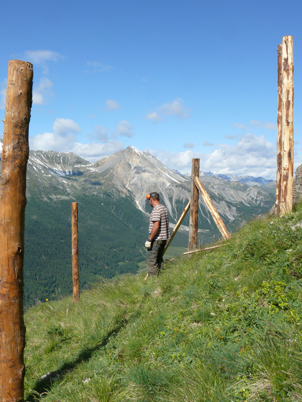 Val Mustair3 | Nutrient Network: A Global Research Cooperative